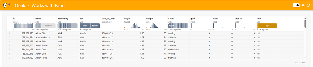 Works with Quak (A Scalable Data Profiler) - Panel - HoloViz Discourse